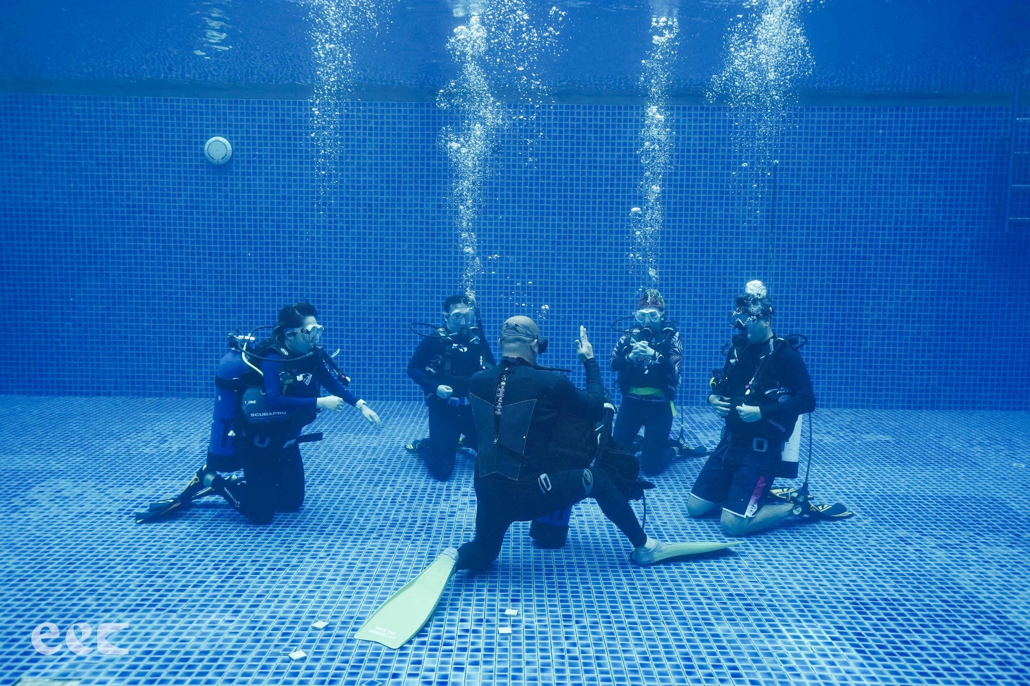 อเล็กซ์ เรนเดลล์: Environment Education ออกไปเรียนรู้โลกเพื่อกลับมาเป็น ...